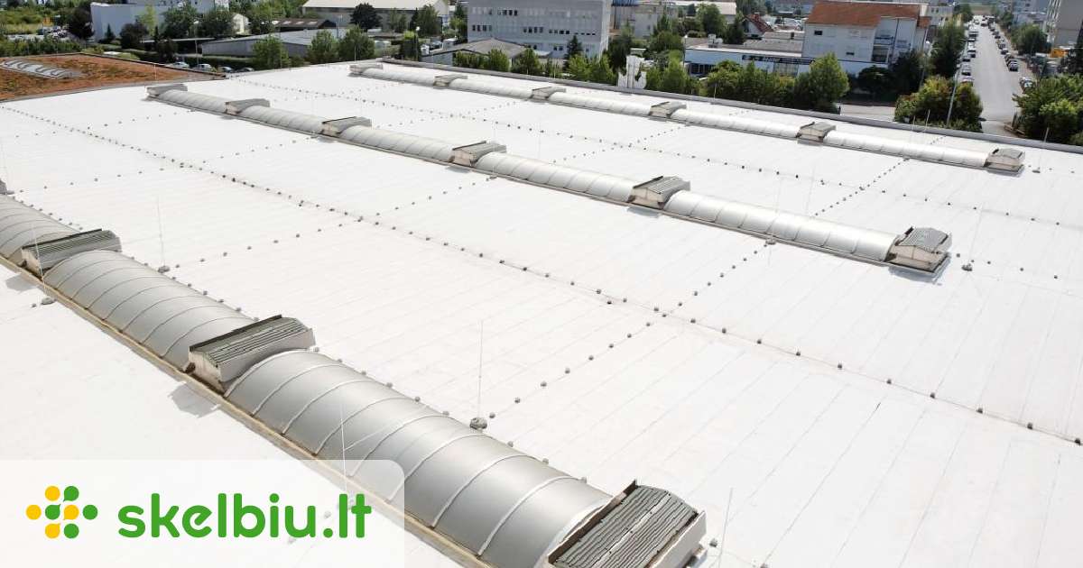 Derbibrite Nt - Skelbiu.lt