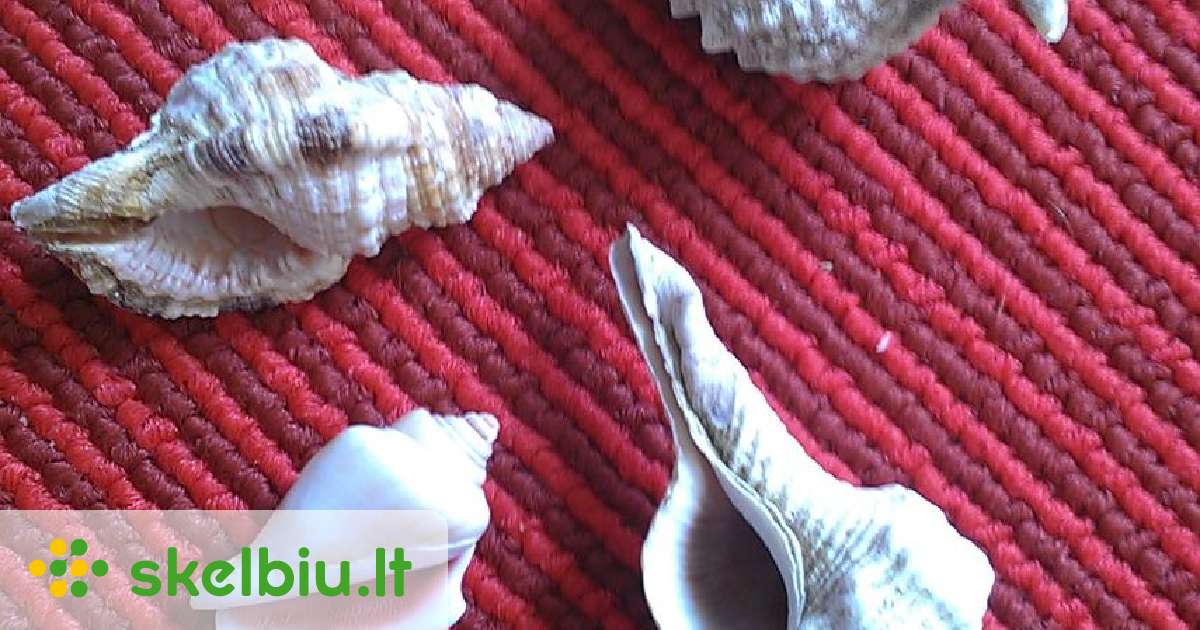 juros kriaukles skelbimai (2 psl.) - Skelbiu.lt