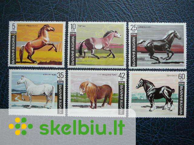 Arkliai Bulgarija svarus ark450 - Skelbiu.lt