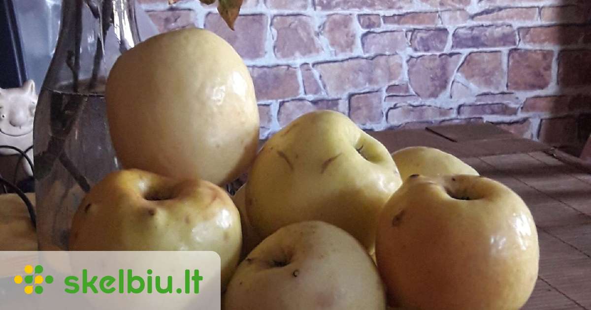 Ekologiški Antaniniai obuoliai - Skelbiu.lt