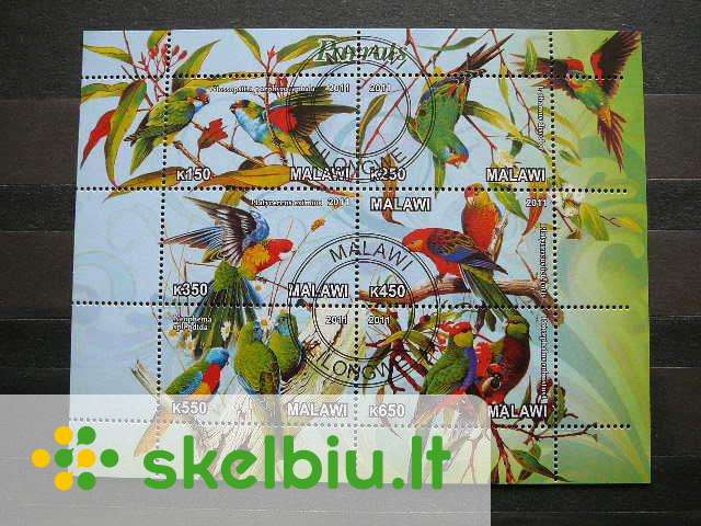 Papugos Pauksciai antsp. g431 - Skelbiu.lt