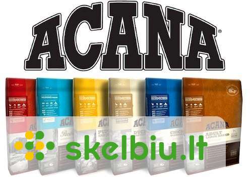 best cat kaunas skelbimai - Skelbiu.lt