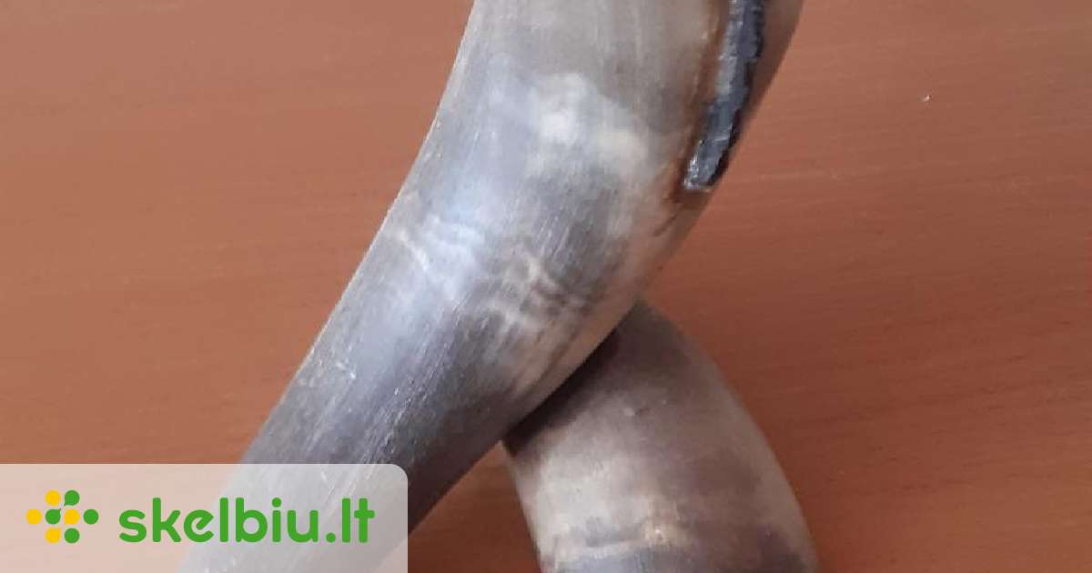 Dekoracija is jaucio rago - Skelbiu.lt