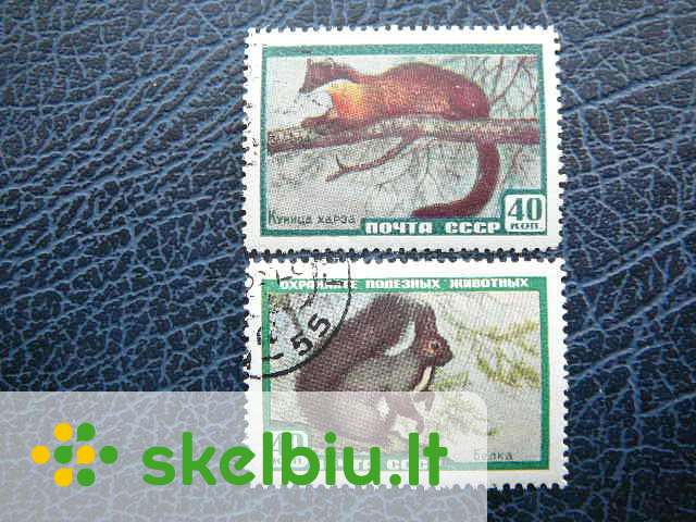 Ssr 1959 Vovere Kiaune antsp. a2242 - Skelbiu.lt