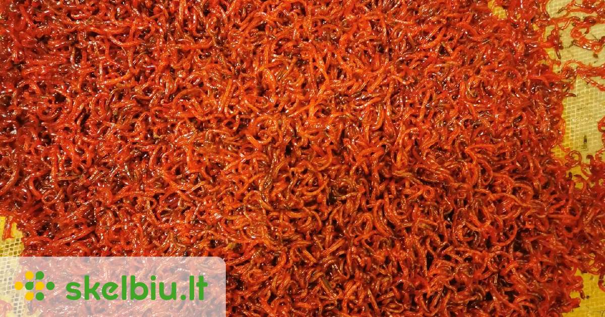 uodo truklio lervos skelbimai - Skelbiu.lt