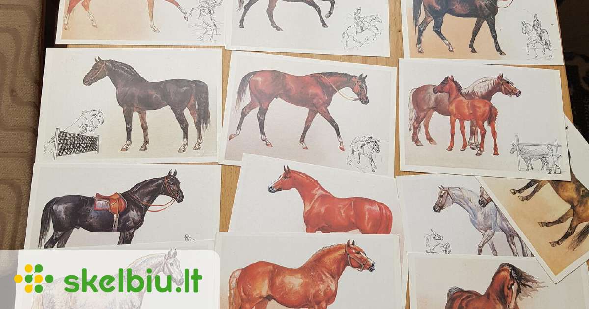 Atvirutės - Skelbiu.lt