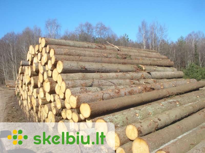 Egles rastai - Skelbiu.lt