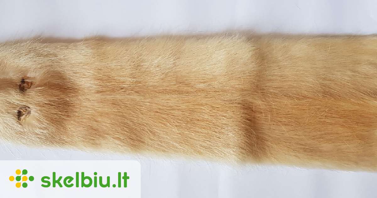Nutrijos kailis - Skelbiu.lt
