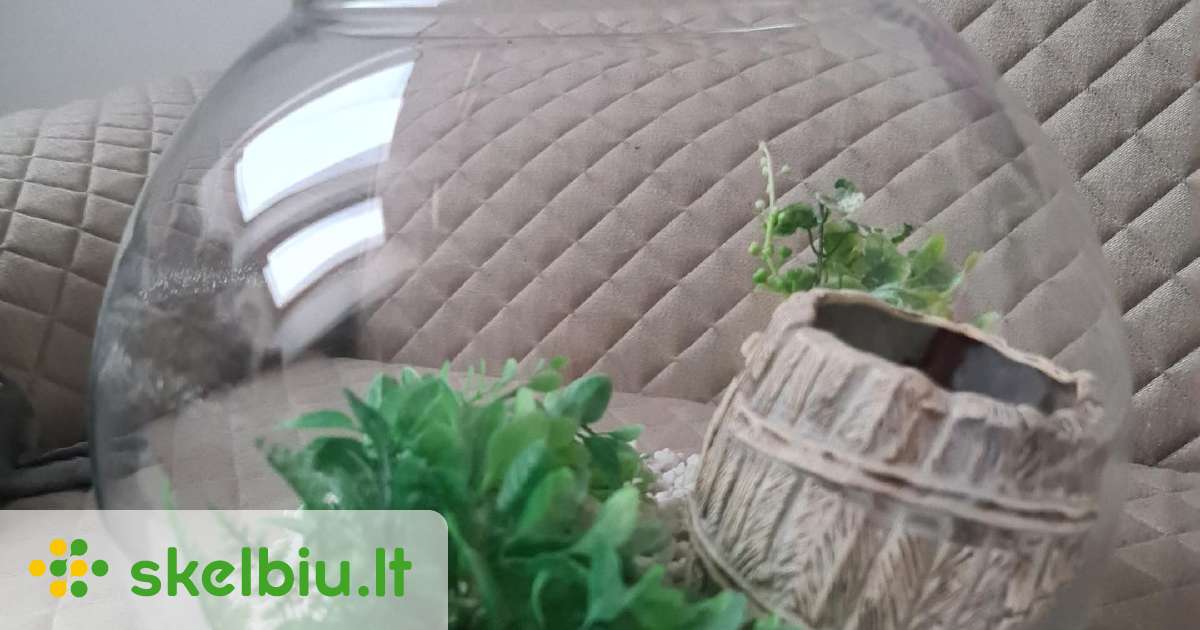 Apvalus akvariumas - Skelbiu.lt