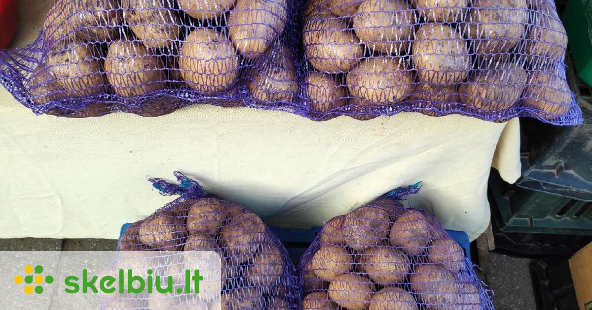 saldzios bulves skelbimai - Skelbiu.lt