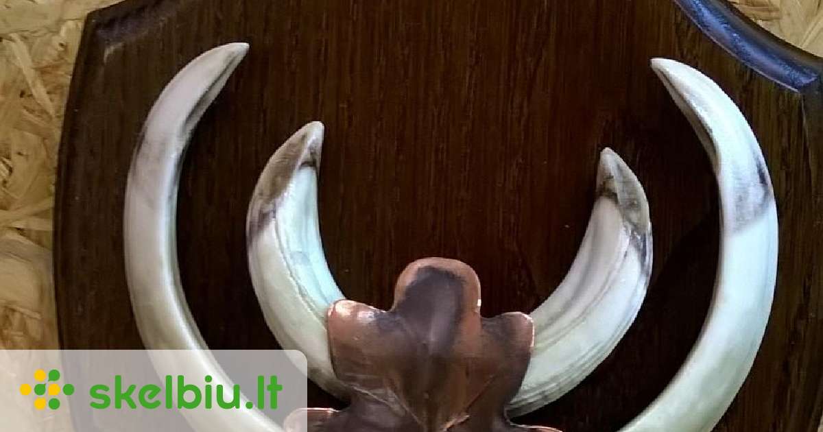 azuolo lapas skelbimai - Skelbiu.lt