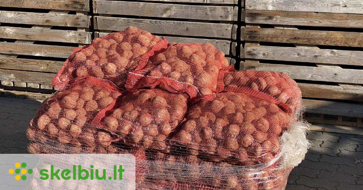 Lietuviškos maistinės bulvės - Skelbiu.lt
