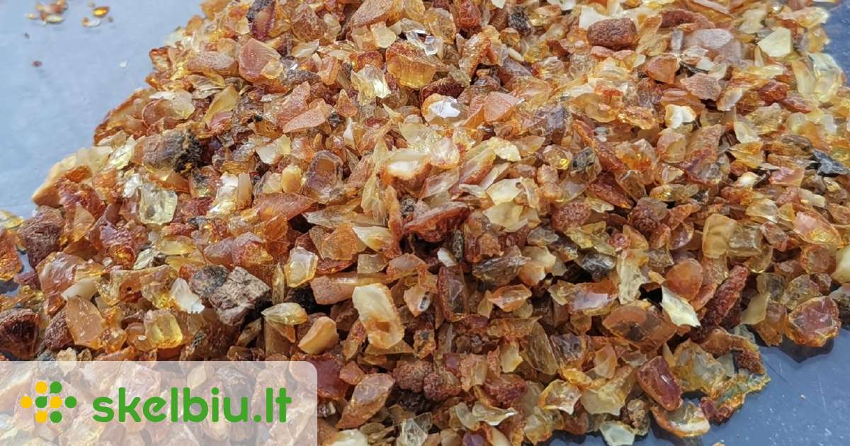 gintaras 1kg skelbimai - Skelbiu.lt