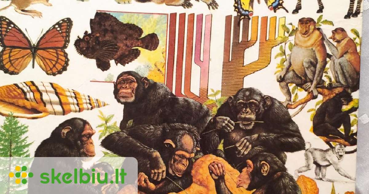 gyvoji gamta skelbimai - Skelbiu.lt gyvoji gamta skelbimai - Skelbiu.lt