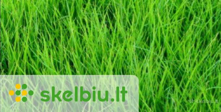 seklos raseiniu r skelbimai (30 psl.) - Skelbiu.lt