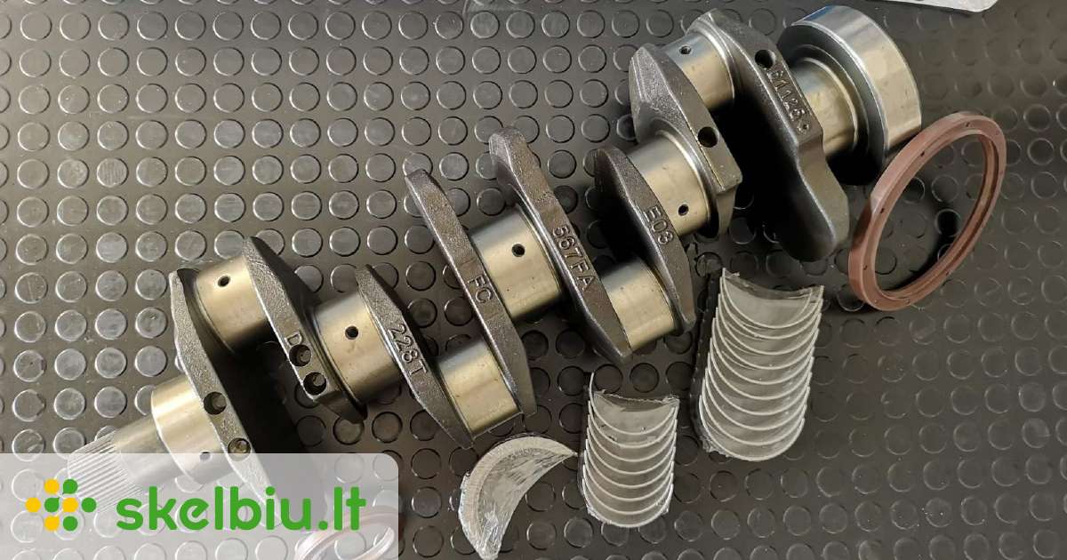 alkuninis velenas skelbimai - Skelbiu.lt