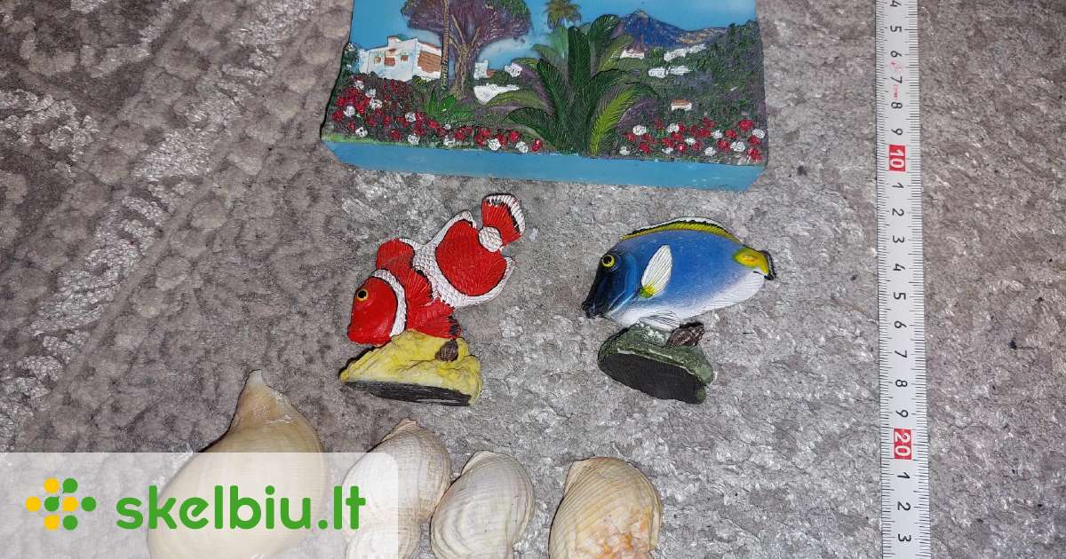 Dekoras, Kriaukles - Skelbiu.lt