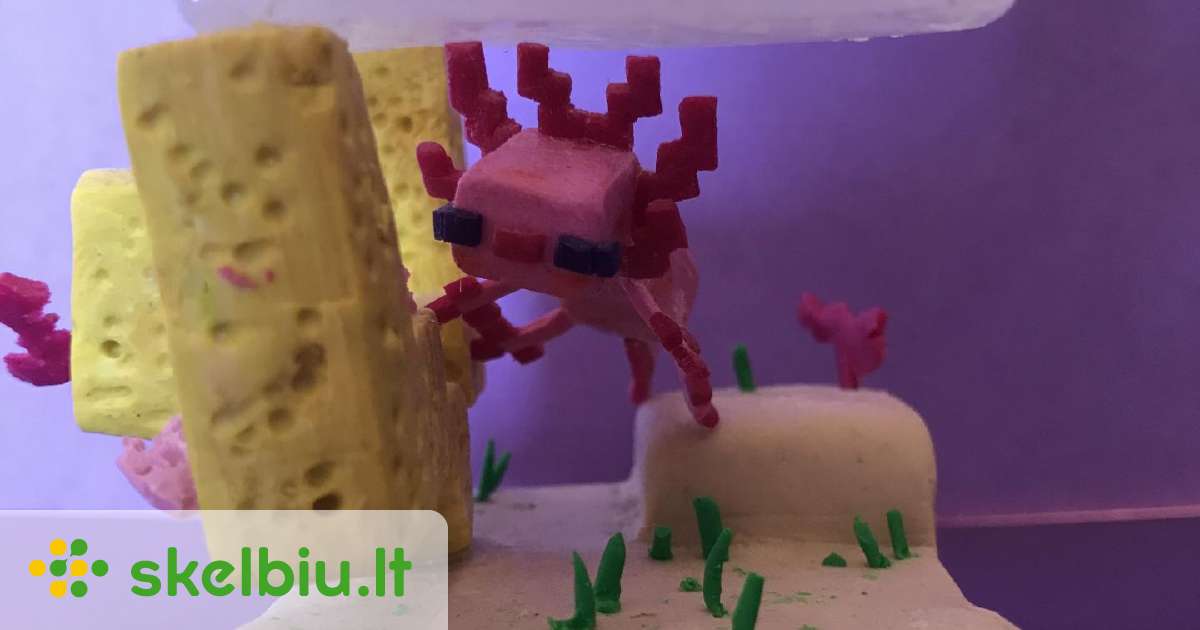 aksolotl skelbimai - Skelbiu.lt