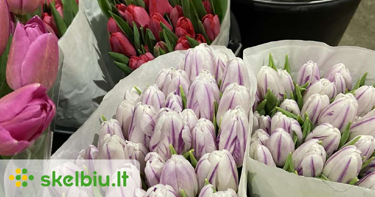 lauko augalai klaipedos r skelbimai - Skelbiu.lt