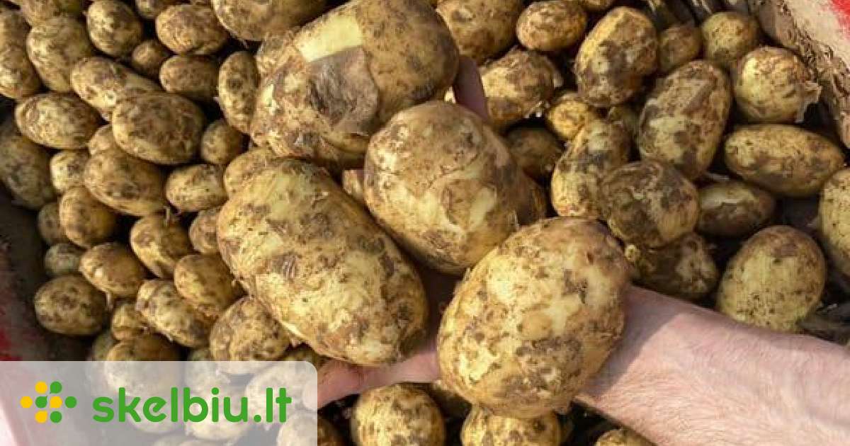 Perkam bulves - Skelbiu.lt