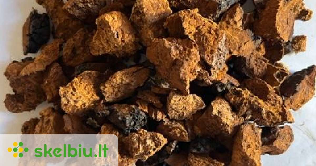 Juodasis beržo grybas (Čiaga, čaga, Juodgrybis) - Skelbiu.lt