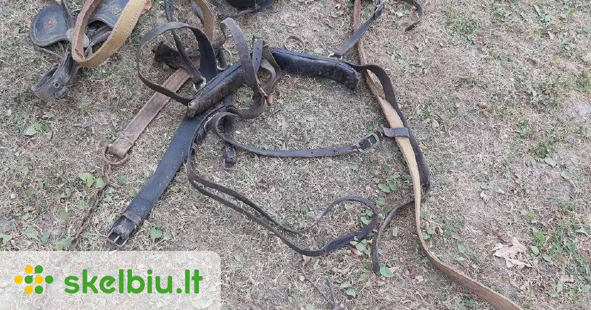 Arklio pakinktai - Skelbiu.lt