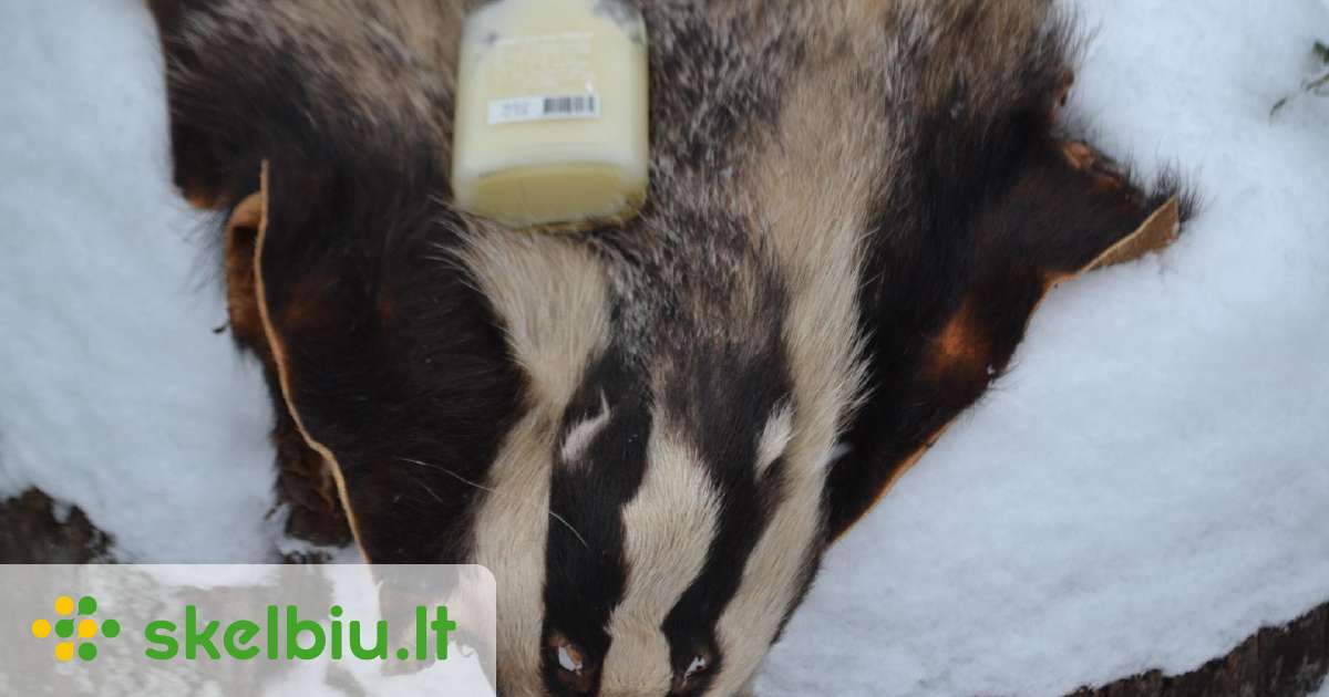 barsuko taukai skelbimai - Skelbiu.lt