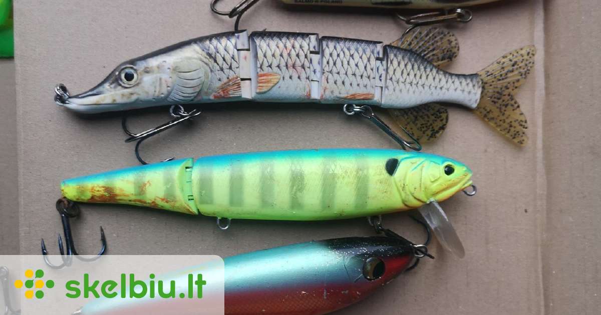 Dideli masalai Lydekoms - Skelbiu.lt