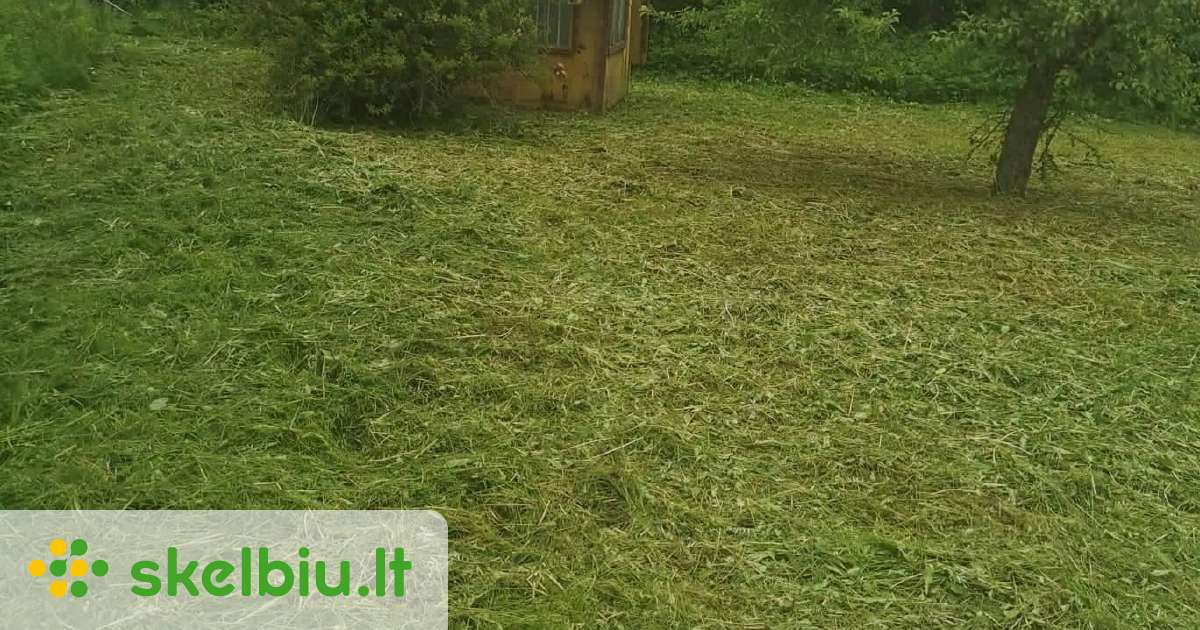 Sklypas obelineje - Skelbiu.lt