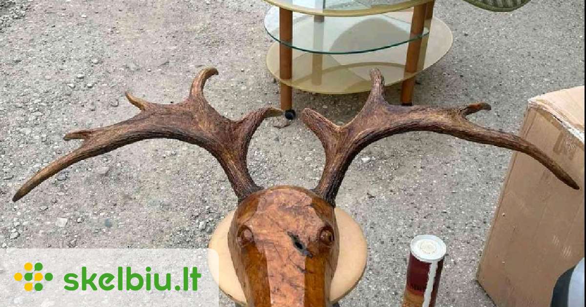 Briedžio ragai - Skelbiu.lt