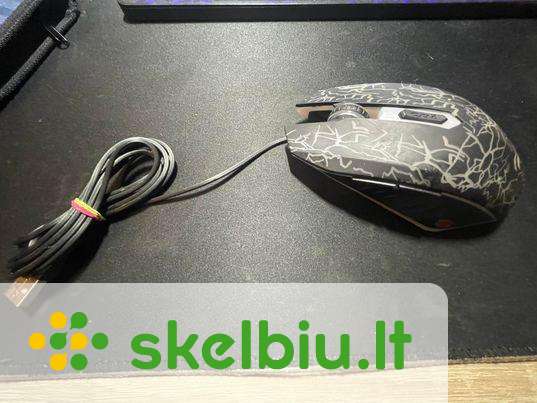 Pelytė ,havit" - Skelbiu.lt