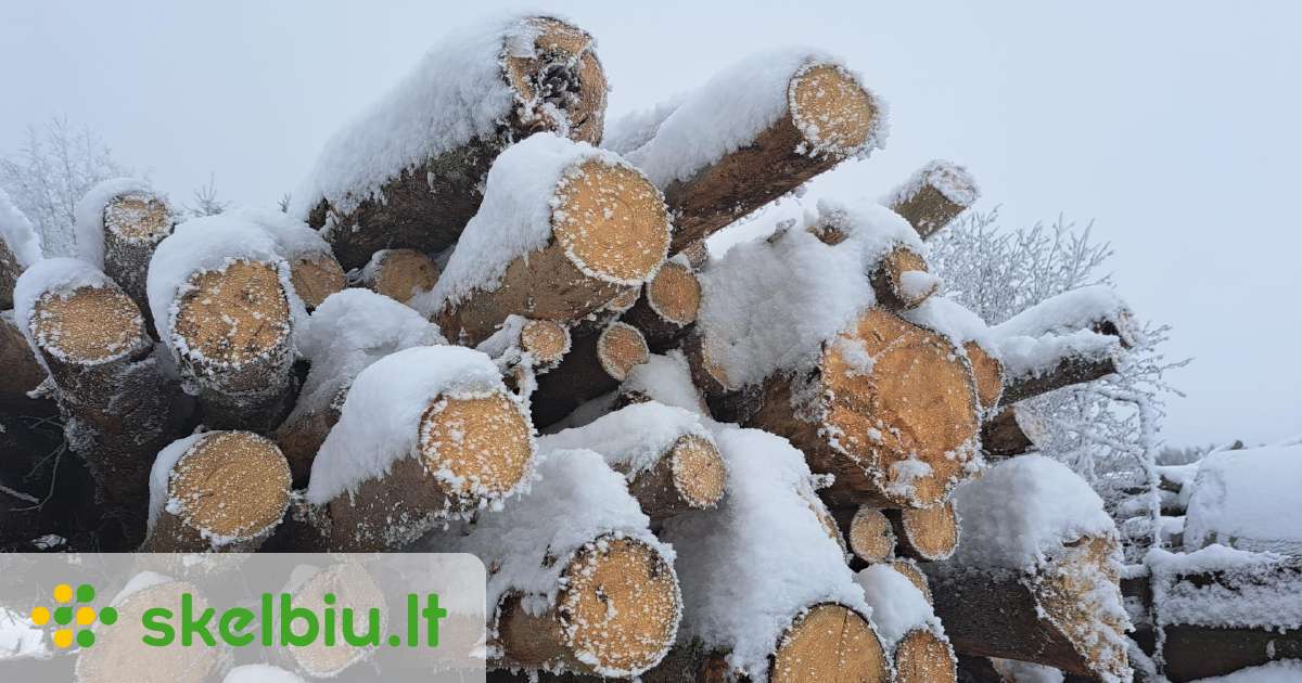 Spygliuočių rastai 6m statybinė mediena - Skelbiu.lt