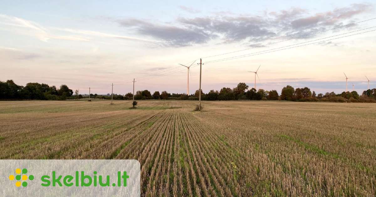 Sklypas, Klaipėdos r. Grumblių k. sklypas Nekilnojamo turto skelbimai ...