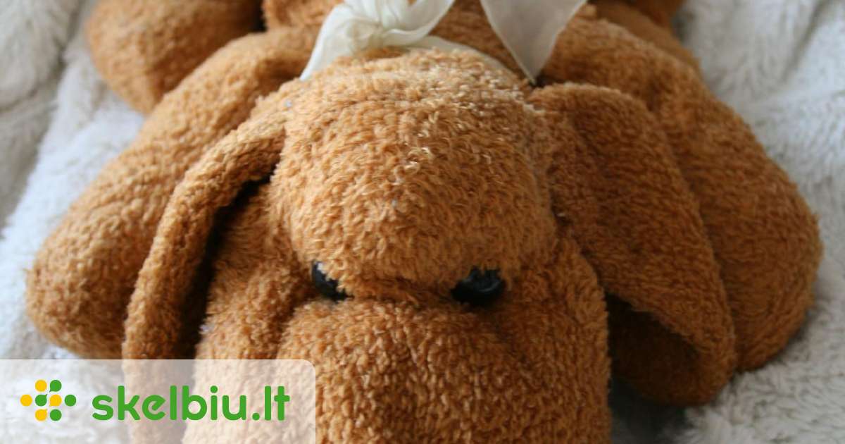 Pliušiniai šuniukai - Skelbiu.lt