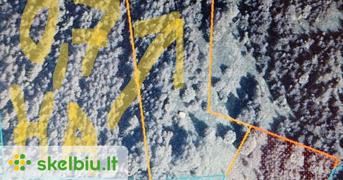 Miškas su žeme - Skelbiu.lt