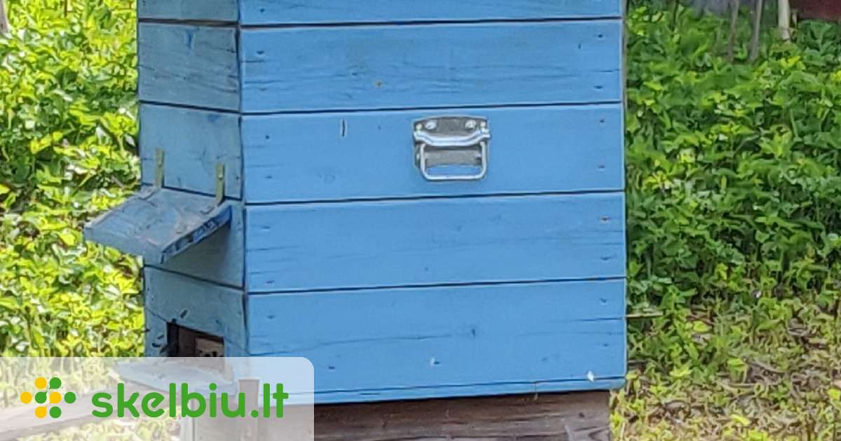 Avilys dadano - Skelbiu.lt