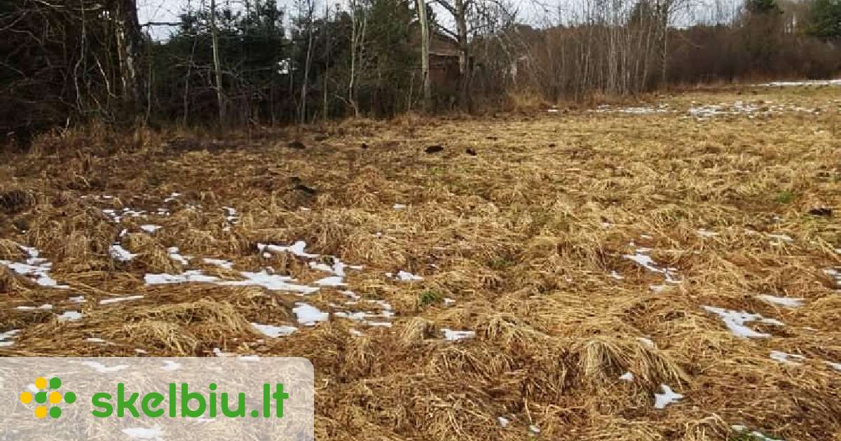 zemes ukio paskirties zeme skelbimai - Skelbiu.lt