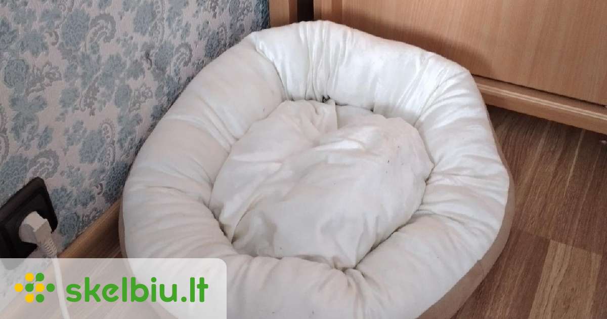 Šuniuko guolis - Skelbiu.lt