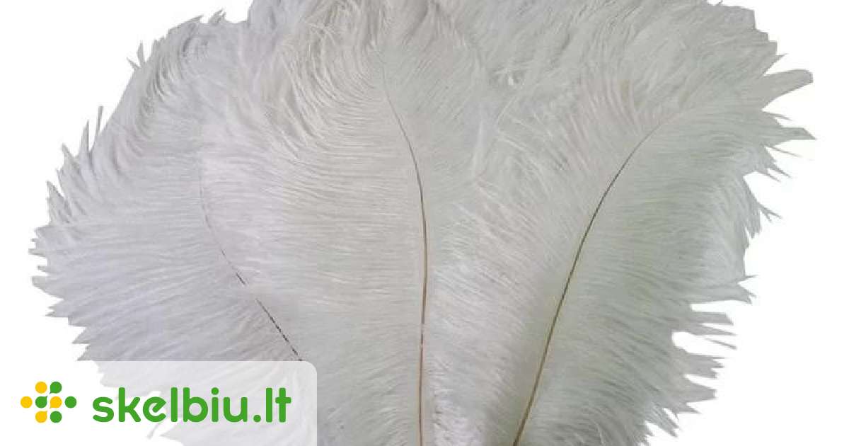 strucio plunksnos skelbimai - Skelbiu.lt