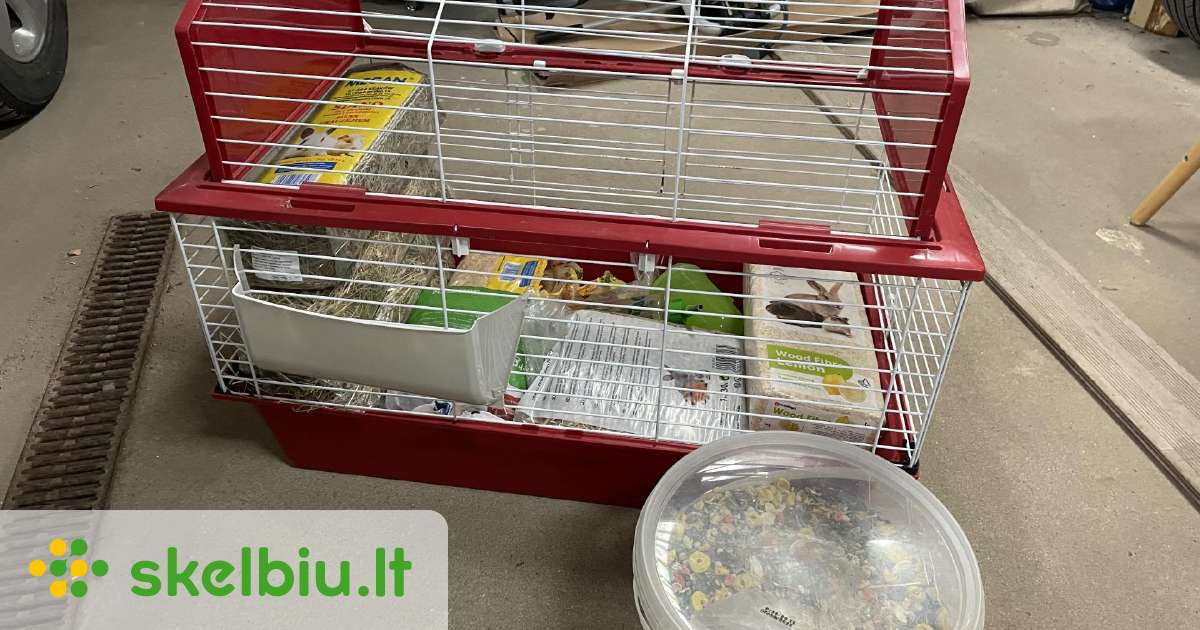 narvas grauzikams v vilnius skelbimai - Skelbiu.lt