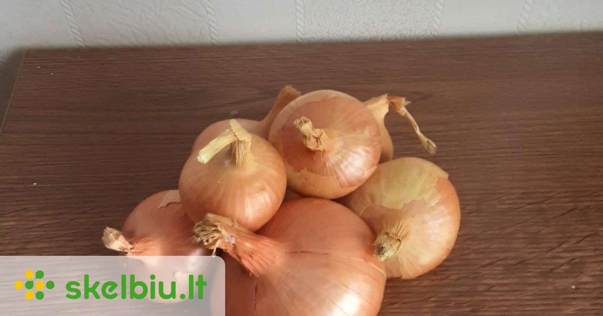 Svogūnai - Skelbiu.lt