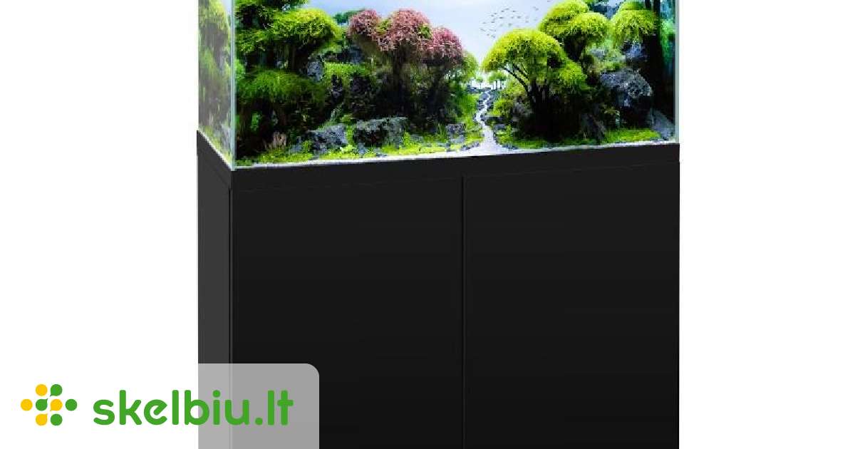 akvariumas su spintele siauliai skelbimai - Skelbiu.lt