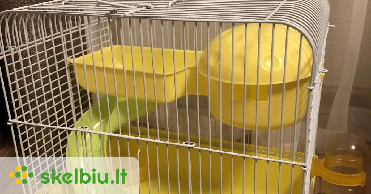 ziurkenu narv skelbimai - Skelbiu.lt