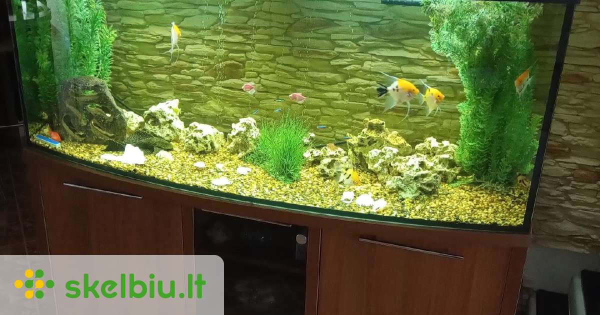 Akvariumas - Skelbiu.lt