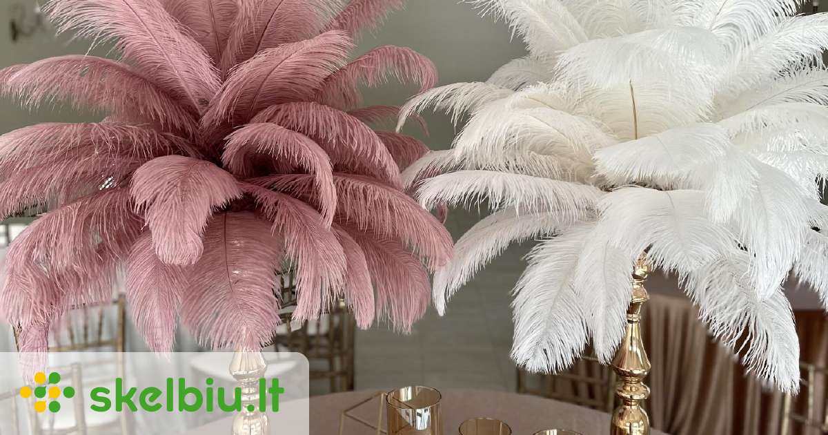 plunksnos skelbimai - Skelbiu.lt