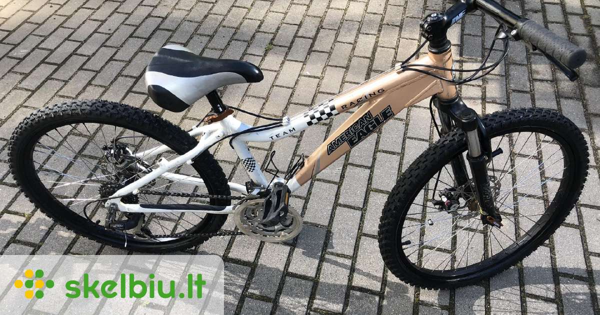 Vaikiškas AL dviratis American Eagle (JAV) 24" - Skelbiu.lt