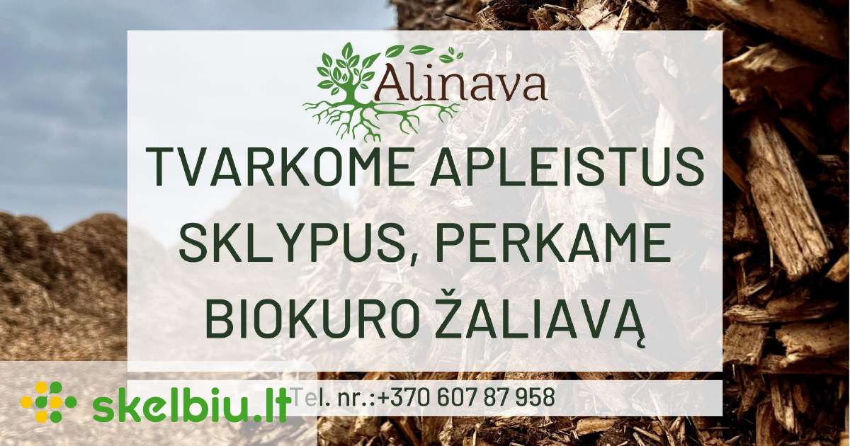 alina vilnius skelbimai - Skelbiu.lt