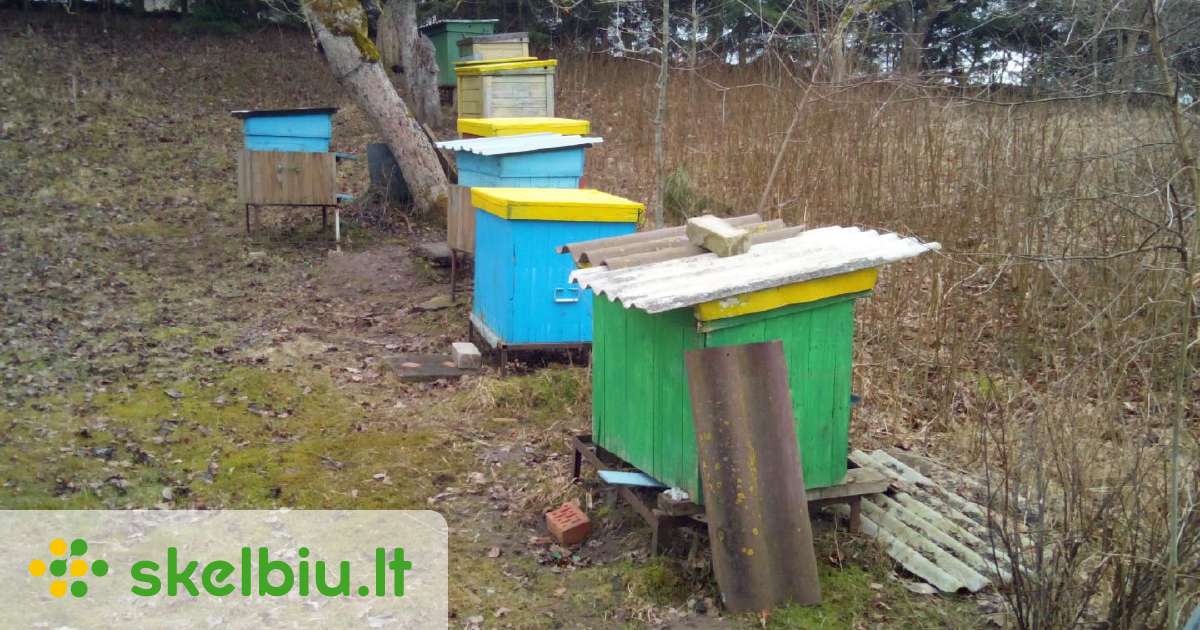 Parduodame bitutes - Skelbiu.lt