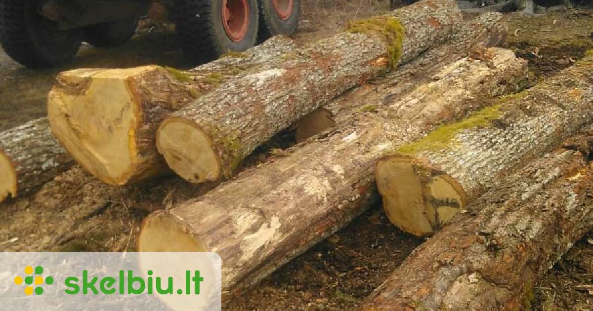 Ažuolo rastai - Skelbiu.lt