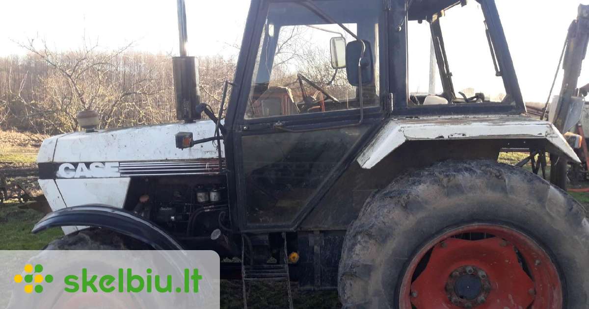 Case 1294 - Skelbiu.lt